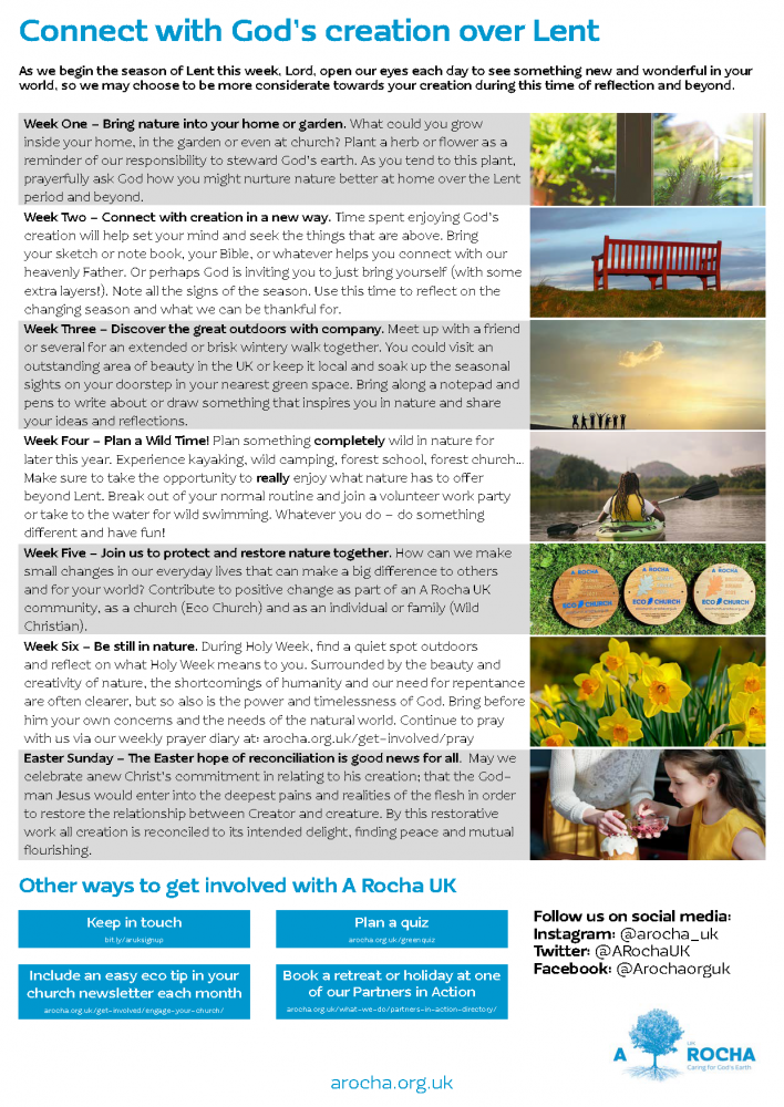 Connect with God’s Creation over Lent – Churches Together in Cornwall