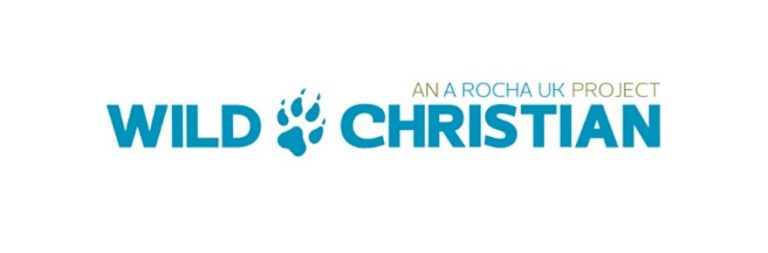 Wild Christian presents a COP26 & Climate Sunday Briefing : 13 Nov ...